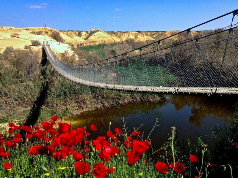 The Besor River Suspension Bridge — הבשור דרום אדום - האתר הרשמי ...